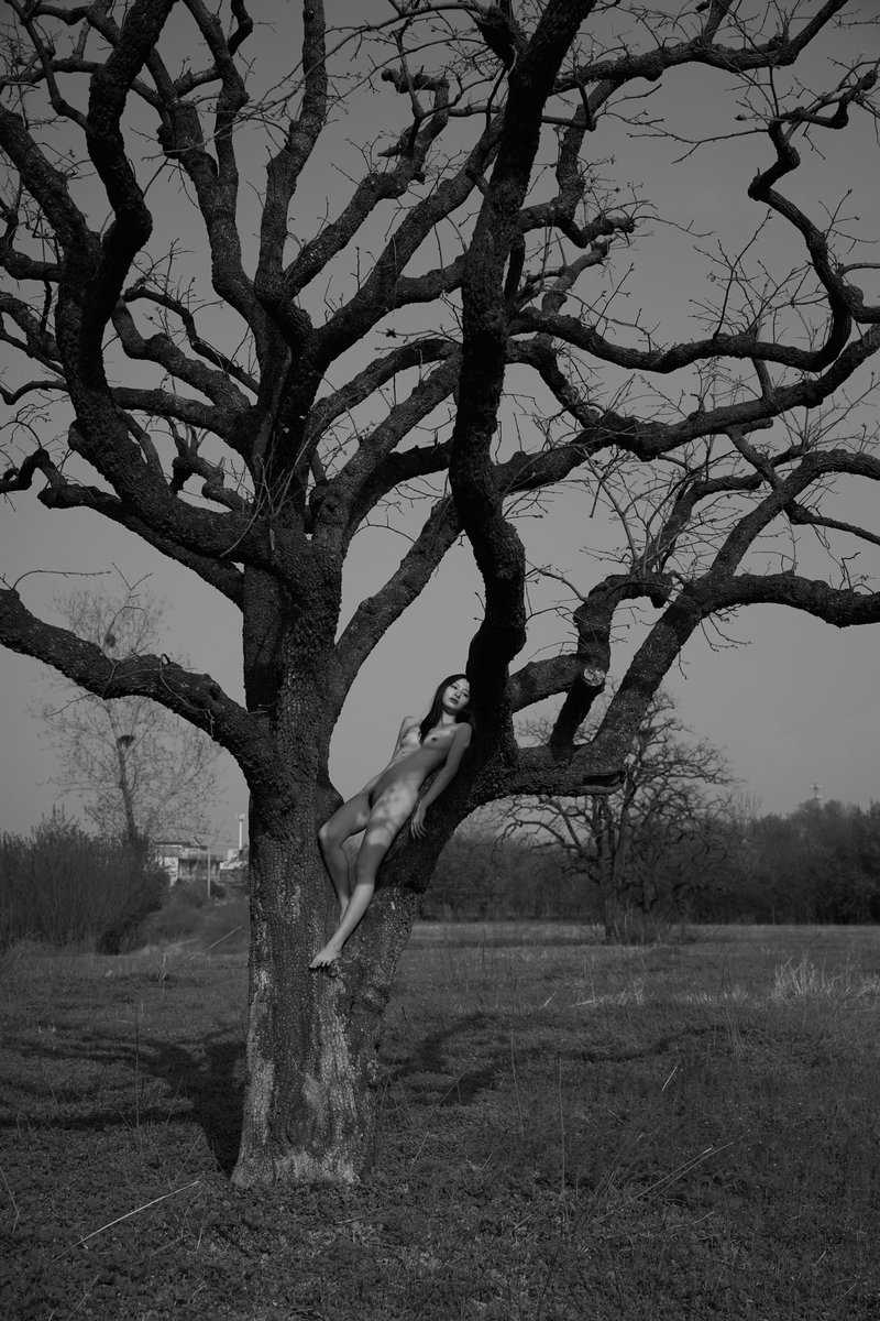 茂木希子(@xizi1840 ):树 摄影：@GavinWu88086808 出镜：@xizi1840