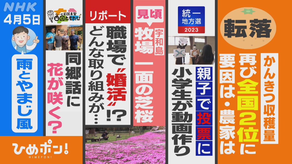 NHK松山放送局 on Twitter: "NHKプラスで配信します ↓↓ https://nhk.jp/p/himepon/ts/KNLX2WP947/plus/… きょうの「#ひめポン ...
