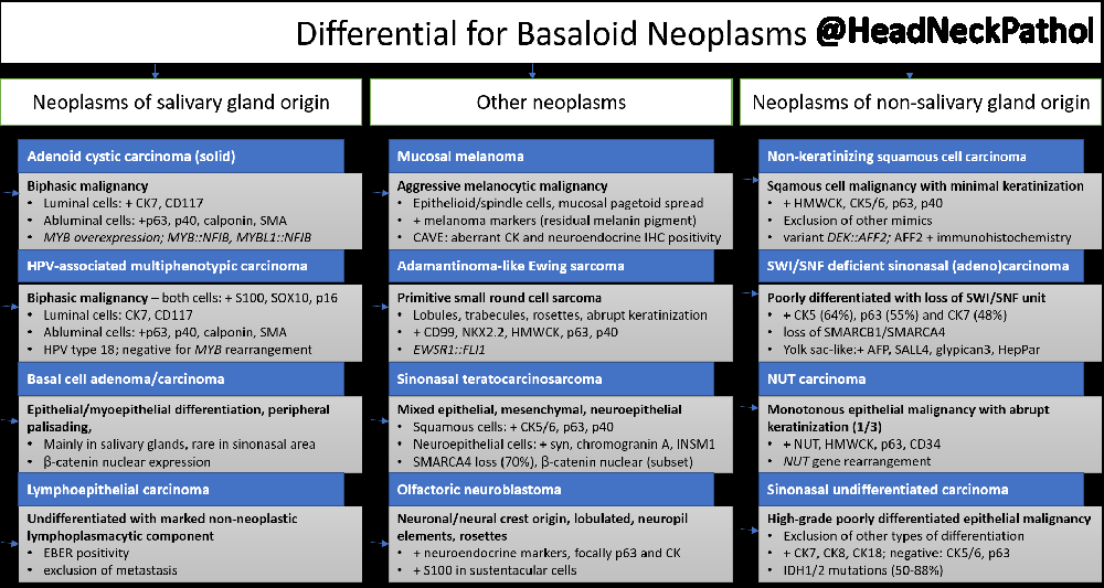 Lester Thompson on Twitter: "Top 10 Basaloid Neoplasms of the Sinonasal Tract By Martina ...