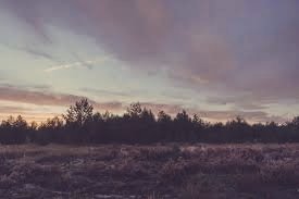 Olya on Twitter: "Evening twilight.,"