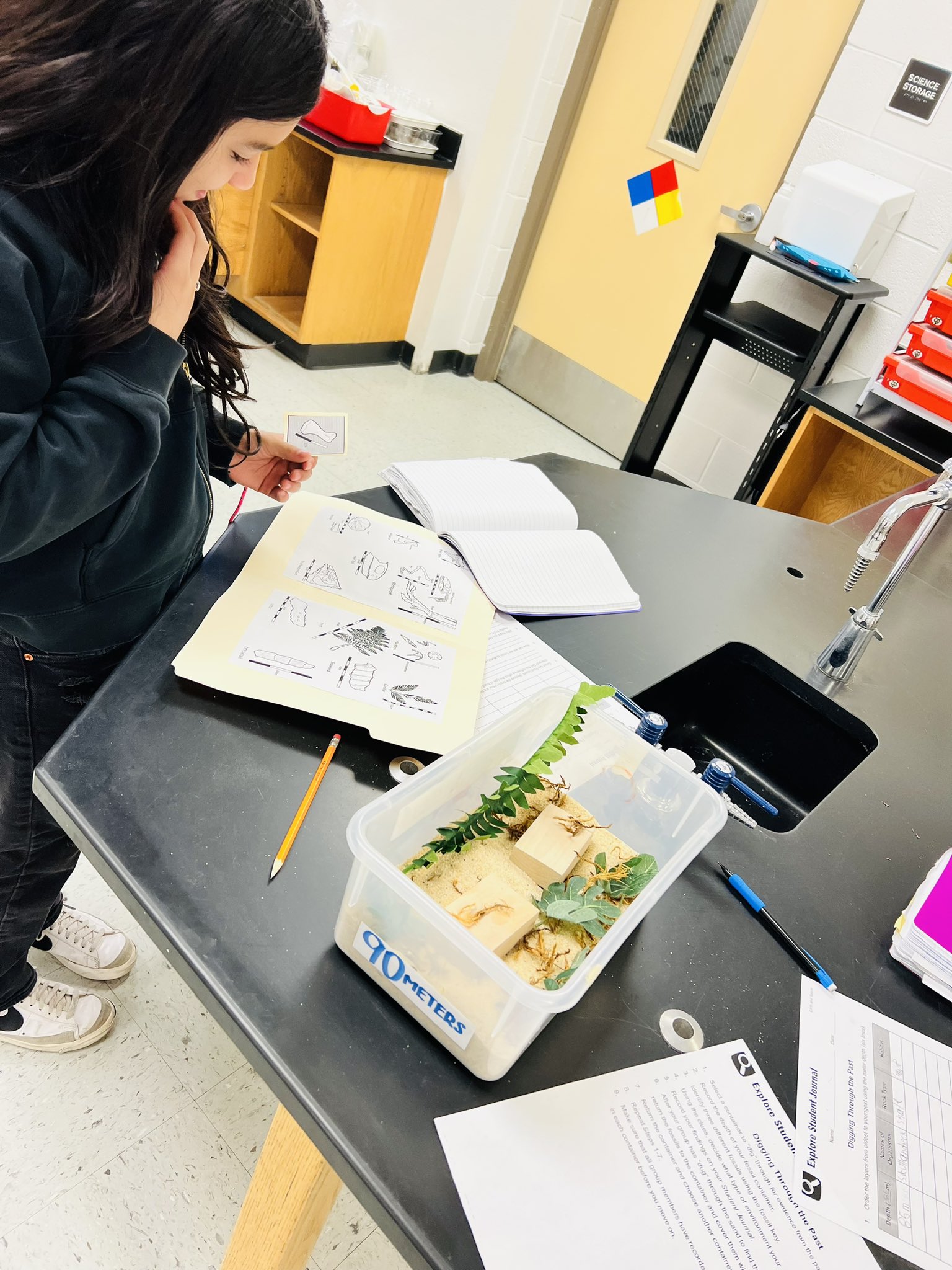 STEMscopes (@STEMscopes) / Twitter