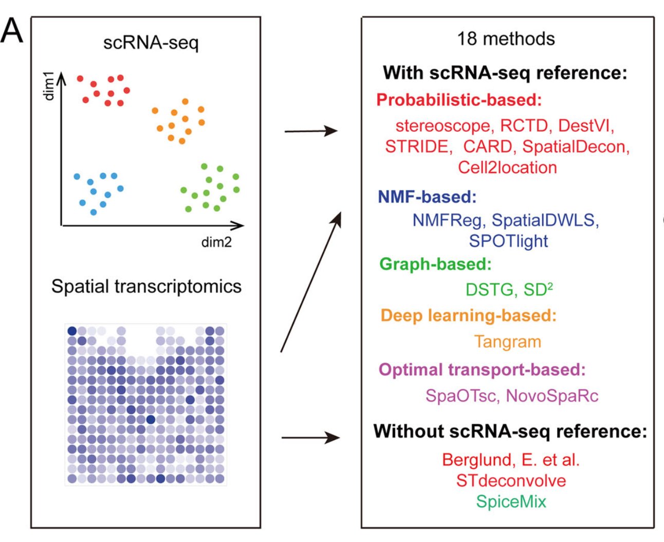 Simona Cristea on Twitter: "Do you need to analyze Spatial Transcriptomics data, but are lost in ...