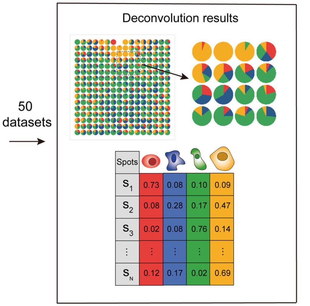 Simona Cristea on Twitter: "🔟 Guidelines Taking everything into account, the authors create this ...