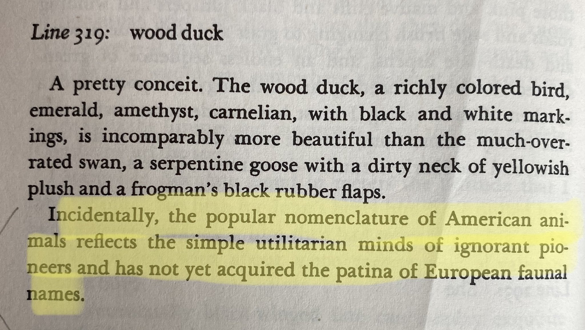 Conceit In Literature