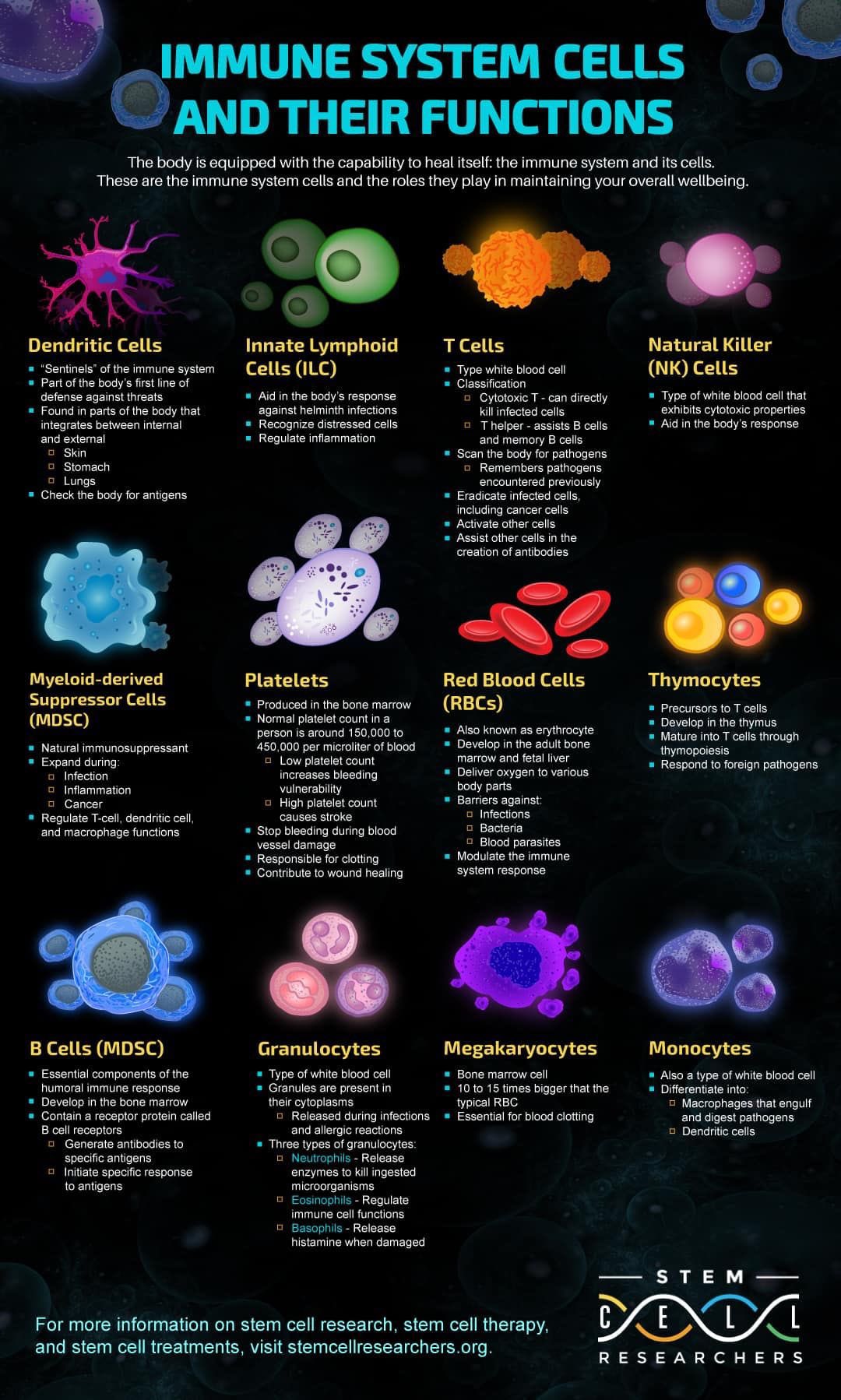 Immune System Function