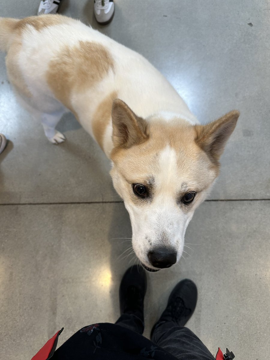 cavern on Twitter: "100T compound"