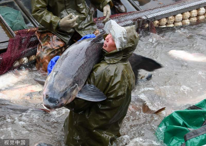 Yangtze River Fishing