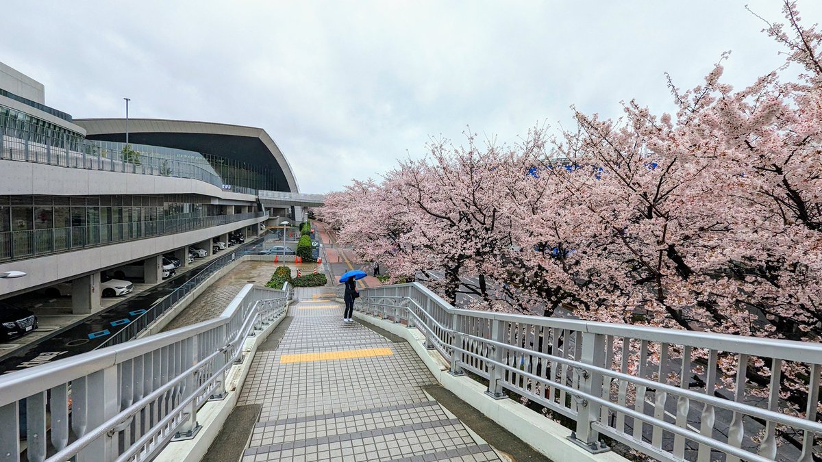 佐藤未知(Michi Sato PhD)(@michisato) - Twilog