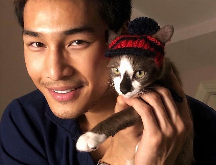 - มอนอ. apo ๒๕๖๖ ₊˚ on Twitter: "RT @aposvision: apo and his cat 🤏🏾😭"