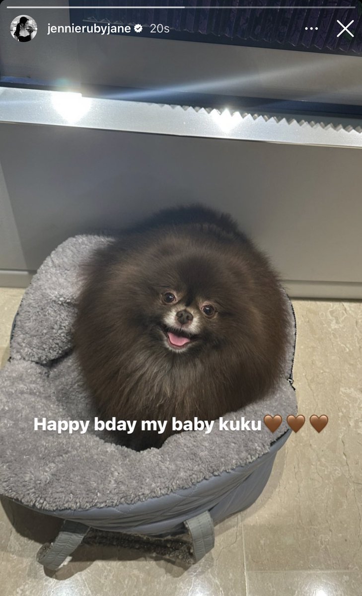 happy birthday kuma! 🐻🤎 𝐽𝐽 @official_jensoo