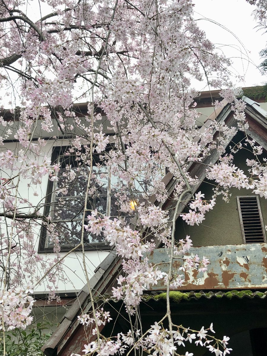 すみれの言葉(@sumire_gingetsu) - Twilog (ツイログ)