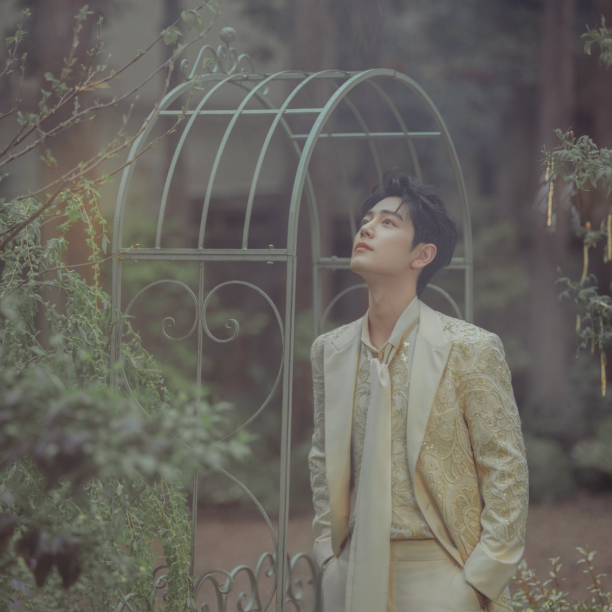 ZHANGE SUBS on Twitter: "🔴Actualización de Xiao Zhan Studio Weibo: " La luz brilla intensamente ...