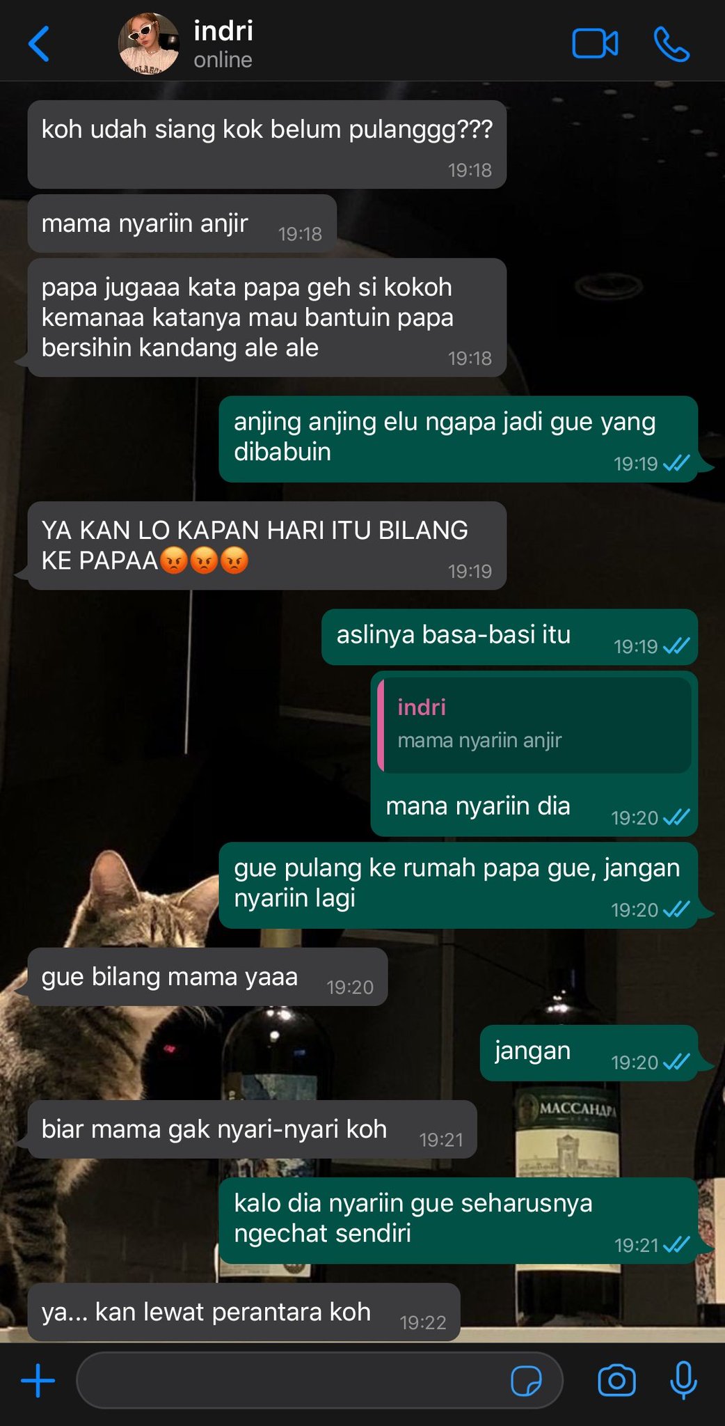 zel on Twitter: "24— ujung-ujungnya malah berantem. https://t.co/OBA3BXVOYo" / Twitter