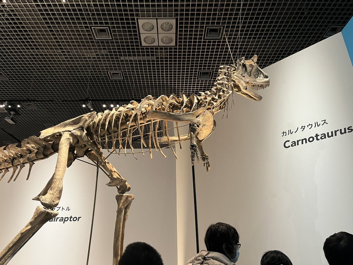 ukn(@ukn_kun) - Twilog