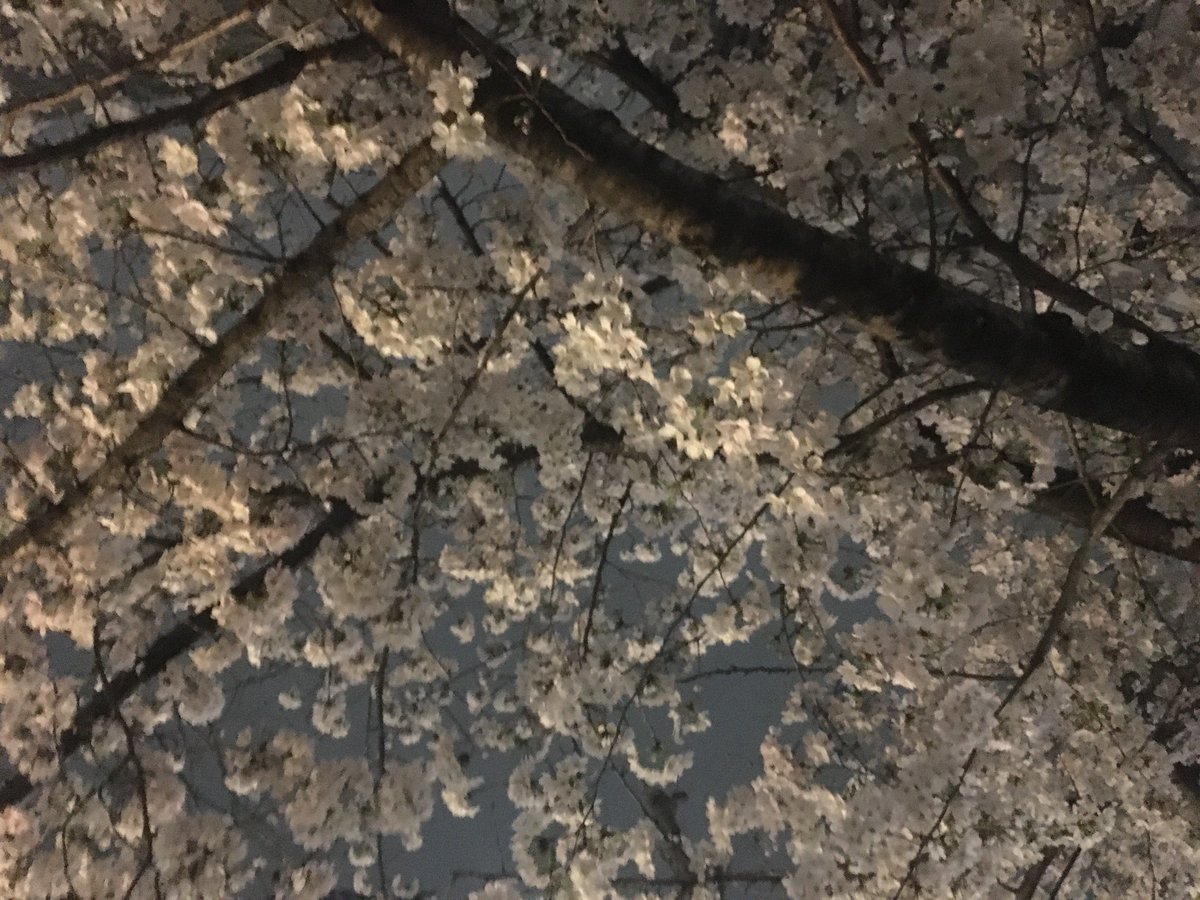 Naoshi Sugimoto【Me,We,Works】(@brain_drain_aw) - Twilog