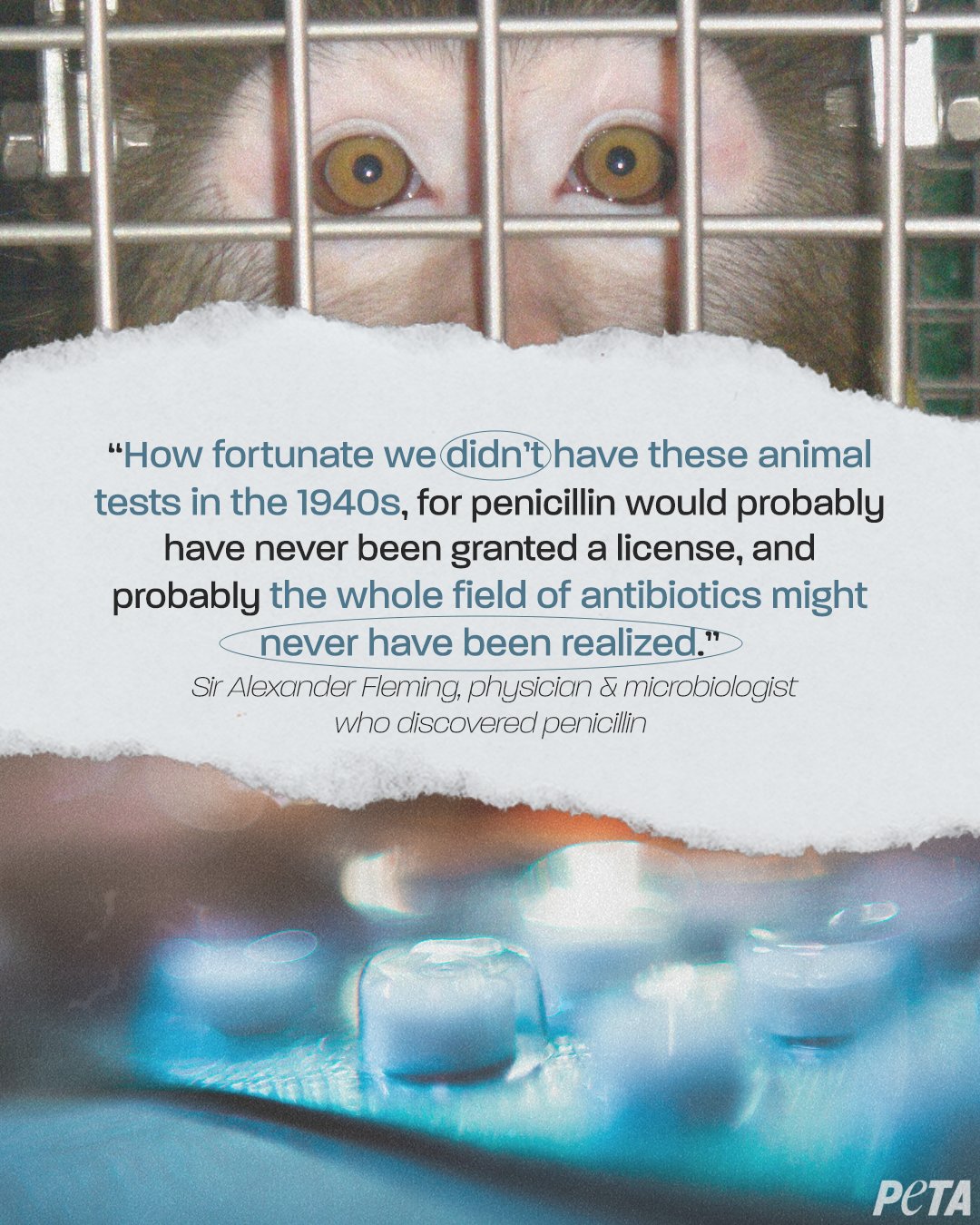 Animal Testing Quotes By Scientists