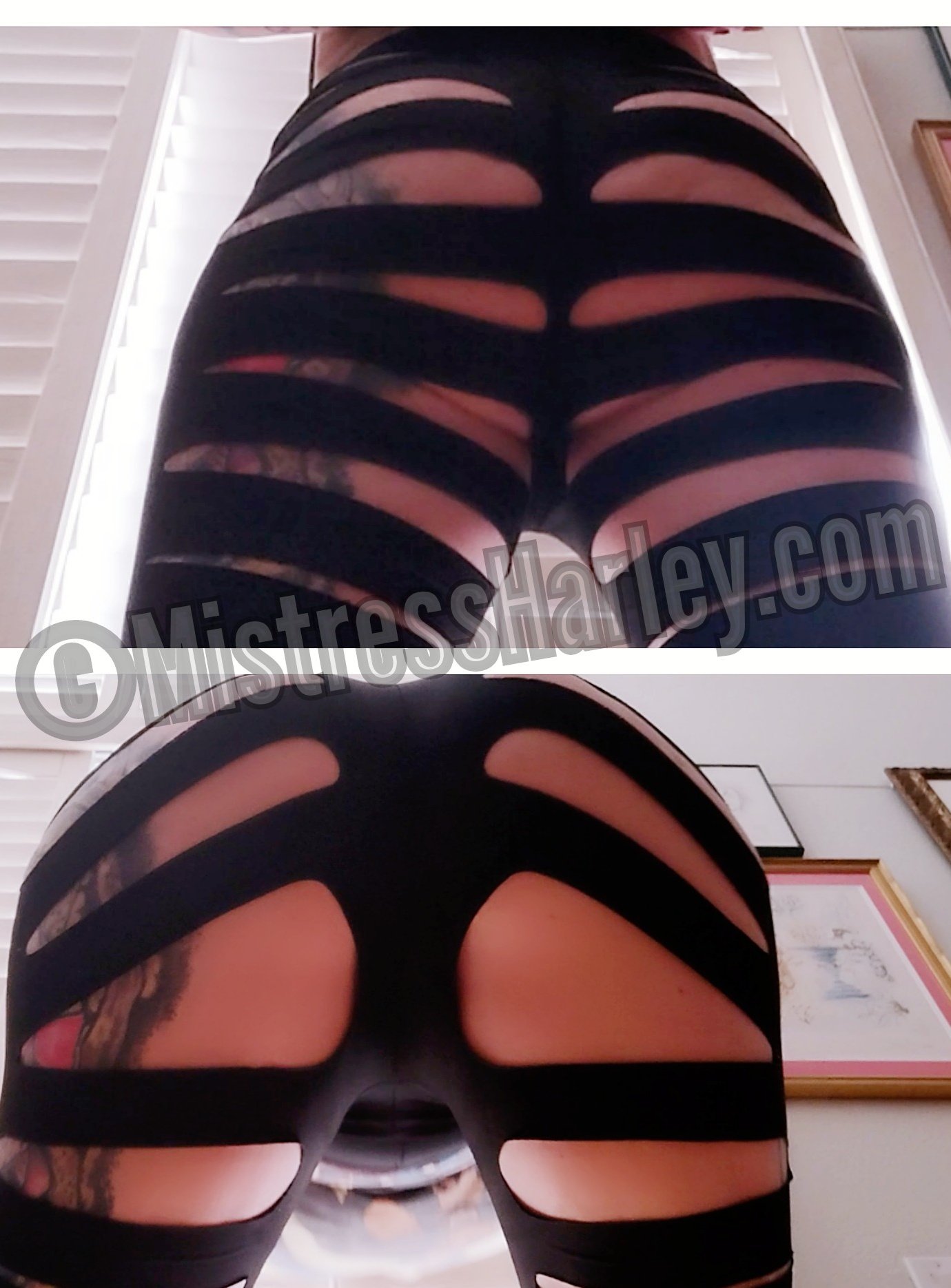 Mistress Harley® the Techdomme® on Twitter: "Doing my Squats in these leggings is cruel ...