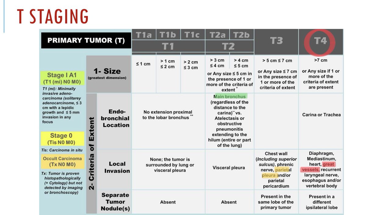 Male patient 50 years old. What is the type of lung cancer? What is ...