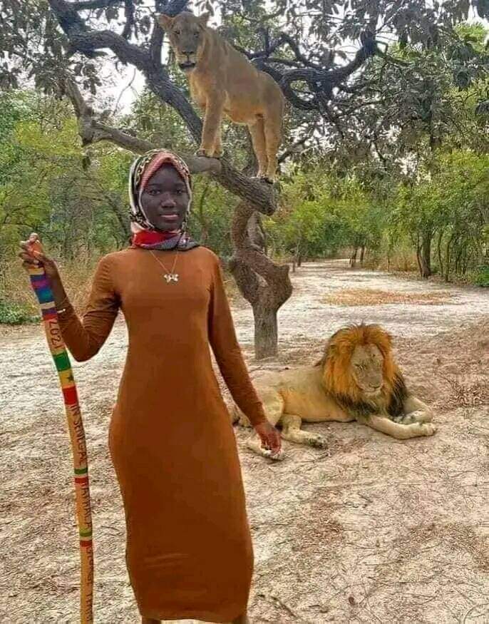 Abiola Trends on Twitter: "This is Fathala wildlife reserve in Senegal 🇸🇳 you can chill with ...
