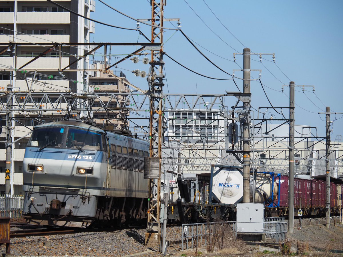 陽鉄 on Twitter: "3/20 5085レ EF66 124 #ef66 #吹田機関区 #サメ #ef66サメ #電気機関車"