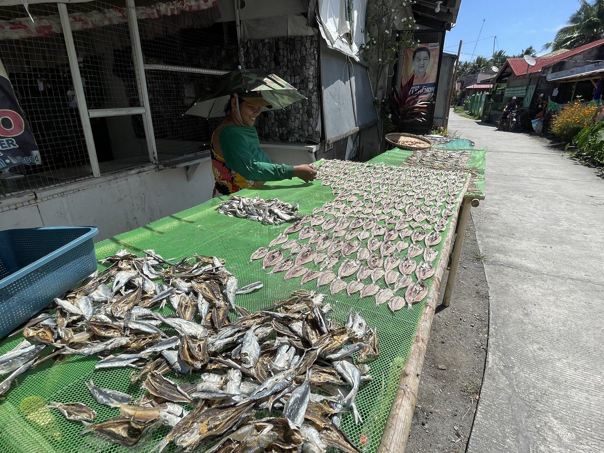 Dennis Datu on Twitter: "Ginagawa na lamang na “tuyo” ang mga isda na nahuhuli sa Baco, Oriental ...