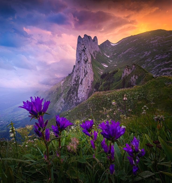 💜 Happy Monday #nature #photography #nature #photography 𝕄𝔸ℝ𝕐 @mary ...