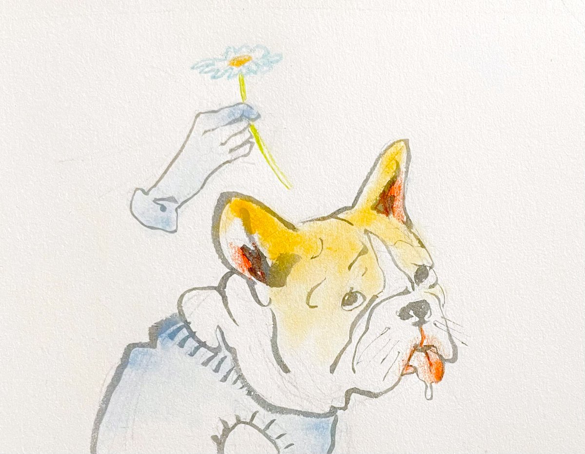 kumi＊デザフェス 両日【P-153-154】のイラスト