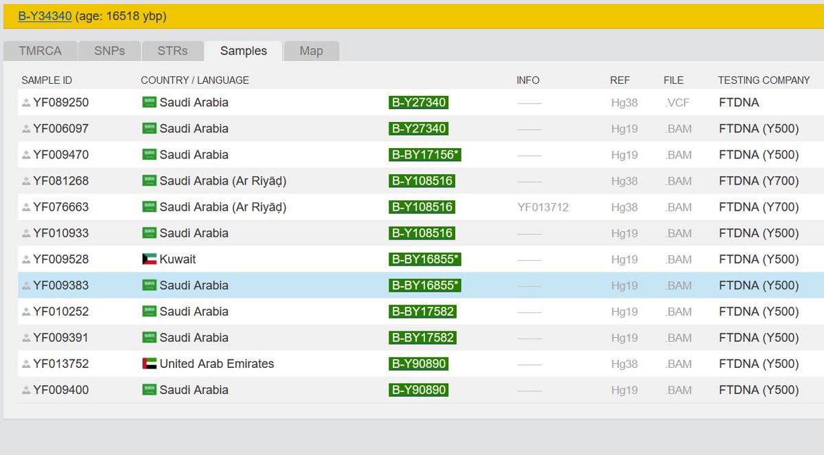 السلالة B B-Y32422 ormed 35300 ybp, TMRCA 1850 ybp - Thread from السّرحان @AbbasTrainer - Rattibha