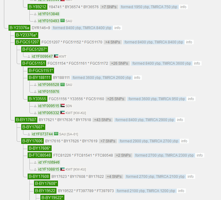 السلالة B B-Y32422 ormed 35300 ybp, TMRCA 1850 ybp - Thread from السّرحان @AbbasTrainer - Rattibha