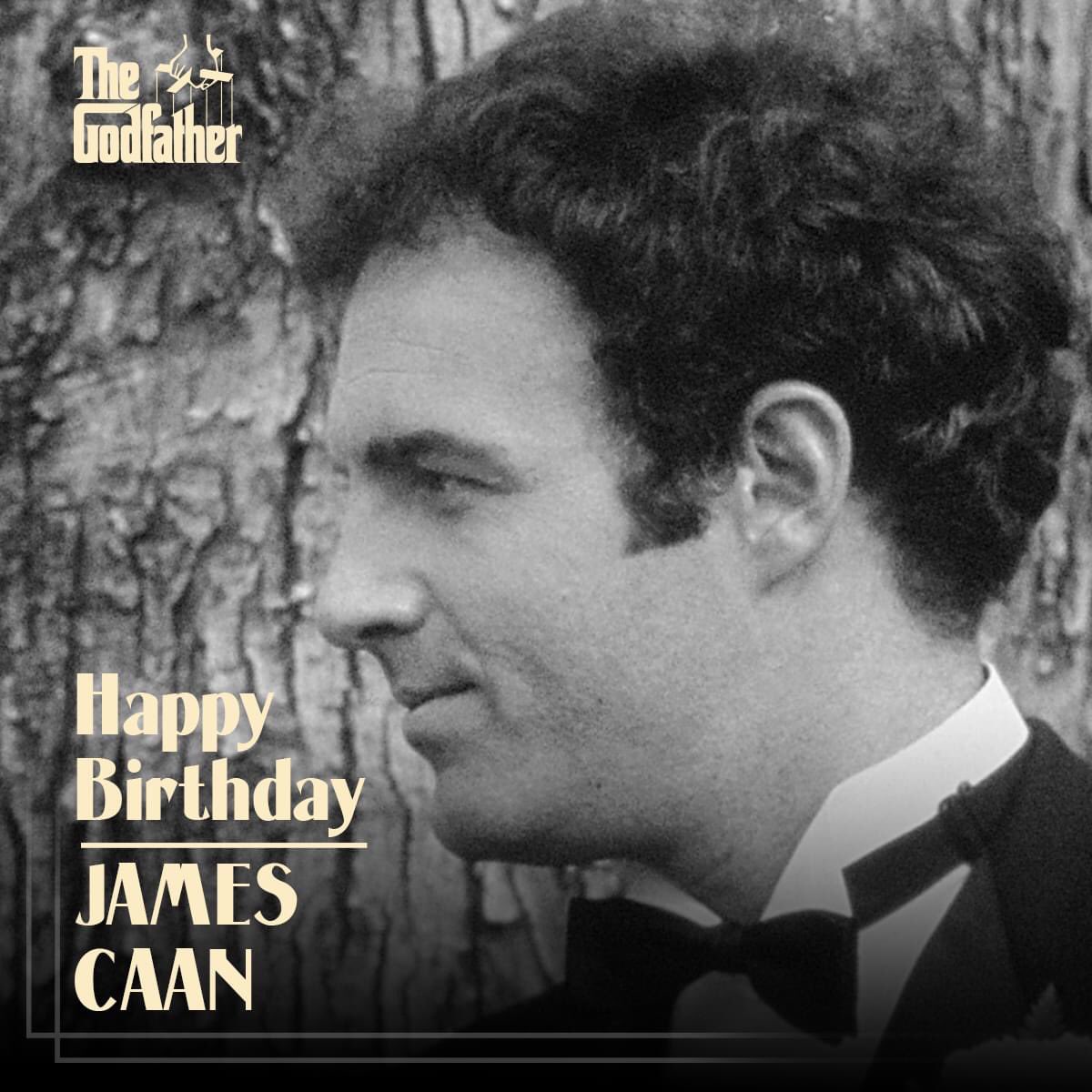 Sonny Godfather Quotes