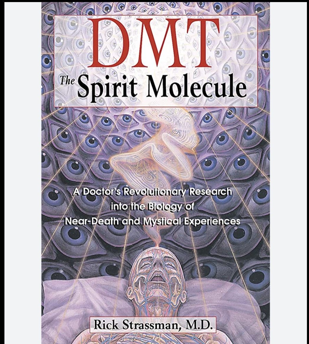DMT Research is largely fueled by the Theory that Schizophrenia is caused by Endogenous DMT ...