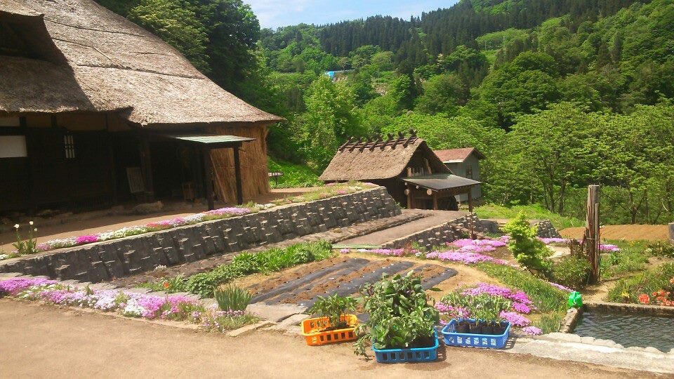 渋谷真子 on Twitter: "【田麦俣を守るためのキャンプ場計画】 グランドファンディング挑戦中！ https://camp-fire.jp/projects/view/648074 ...