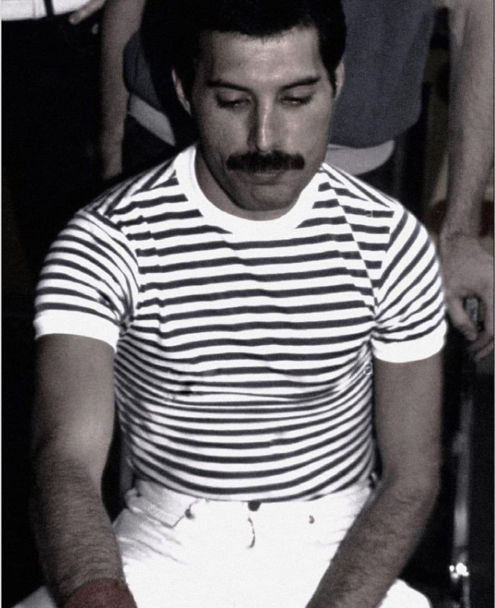 Freddie Mercury Daily on Twitter: