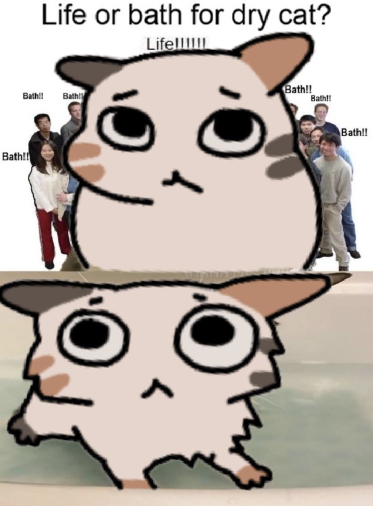 vincent :3 on Twitter: "RT @cuptoast: life or bath?"