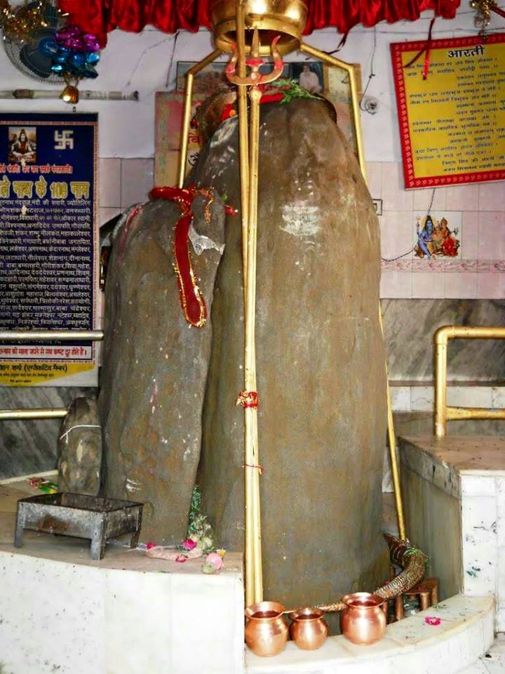 15 Divine unique Shivlingas.. 1. Bhuteshwarnath Mahadev Gariaband ...