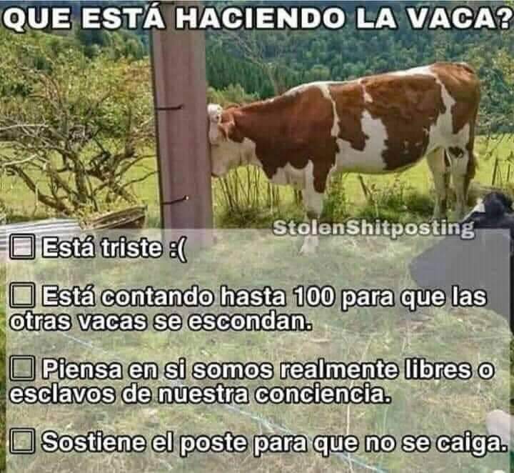 Memes Sobre El Icfes Aplicación De Las Pruebas Saber 3°, 5°, 7° Y