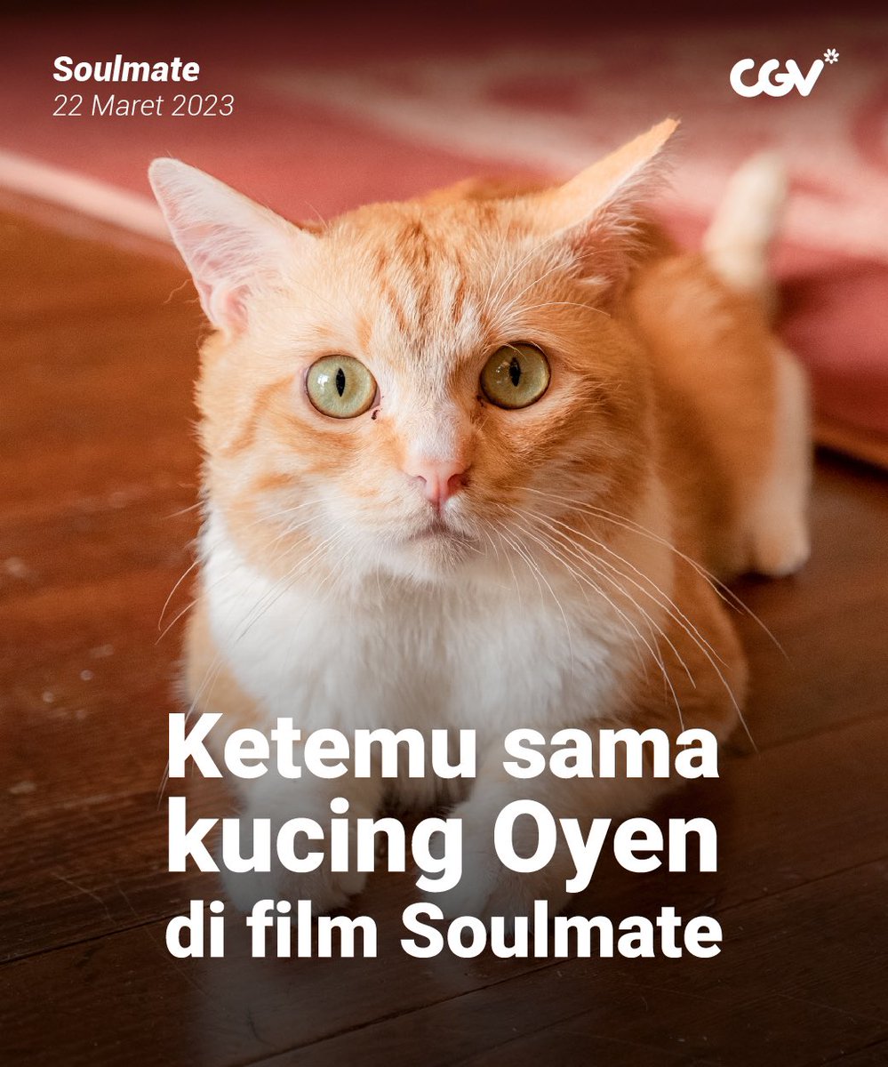 CGV Cinemas on Twitter: "Kucing oyen menantimu di film #Soulmate! Beli tiketnya sekarang di http ...