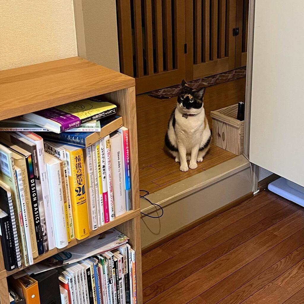 Satoshi Kojima(@skoji) - Twilog