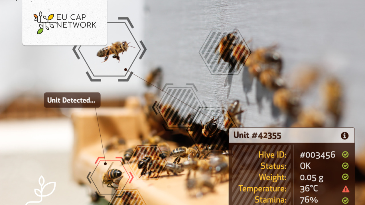 EU CAP Network on Twitter: "Contributing to the #digital transformation of the #beekeeping ...