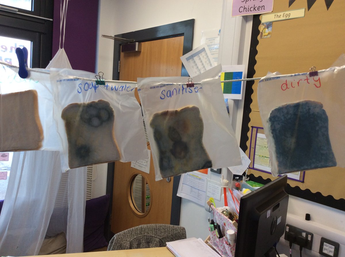 Welcome to High Cliff Academy