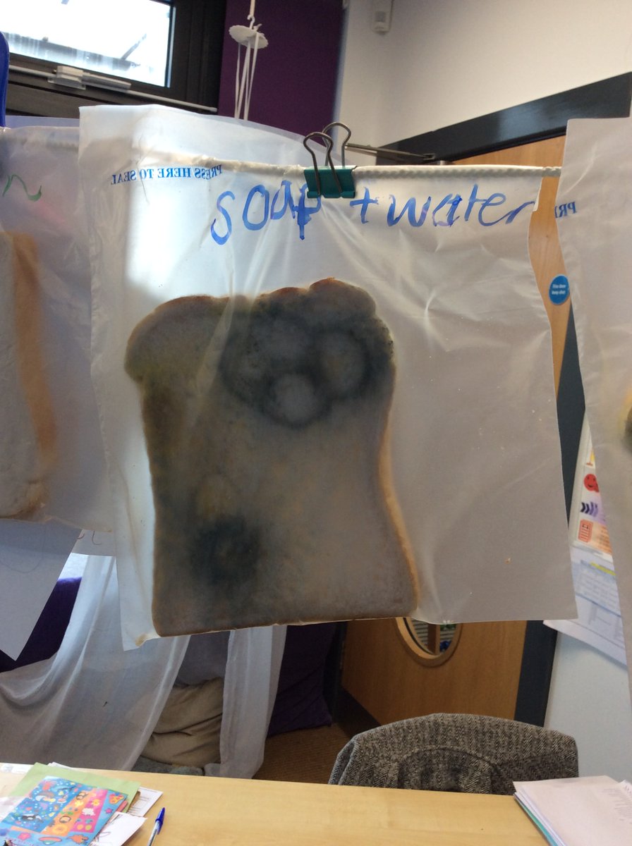 Welcome to High Cliff Academy