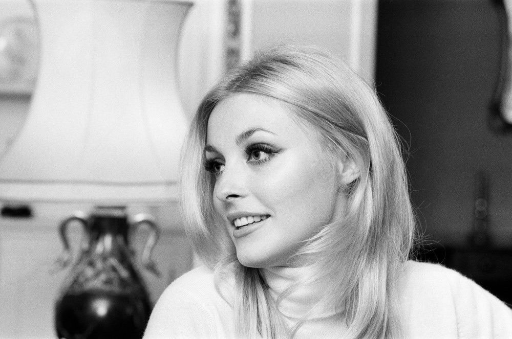 Sharon Tate during an interview in her Belgravia apartment, 1965 Blank ...
