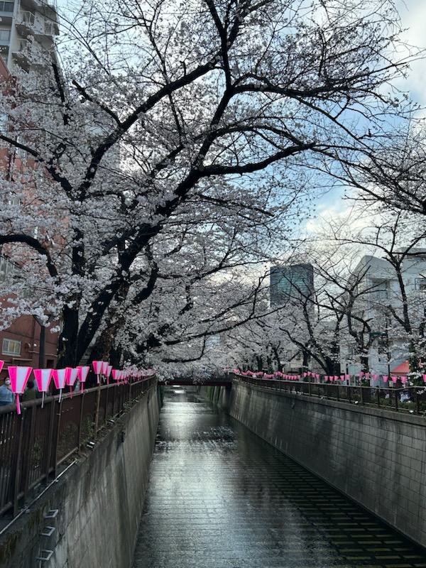 ヤマダデンキ LABI渋谷(@labi_shibuya) - Twilog (ツイログ)