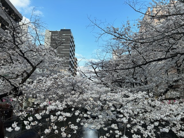 ヤマダデンキ LABI渋谷(@labi_shibuya) - Twilog