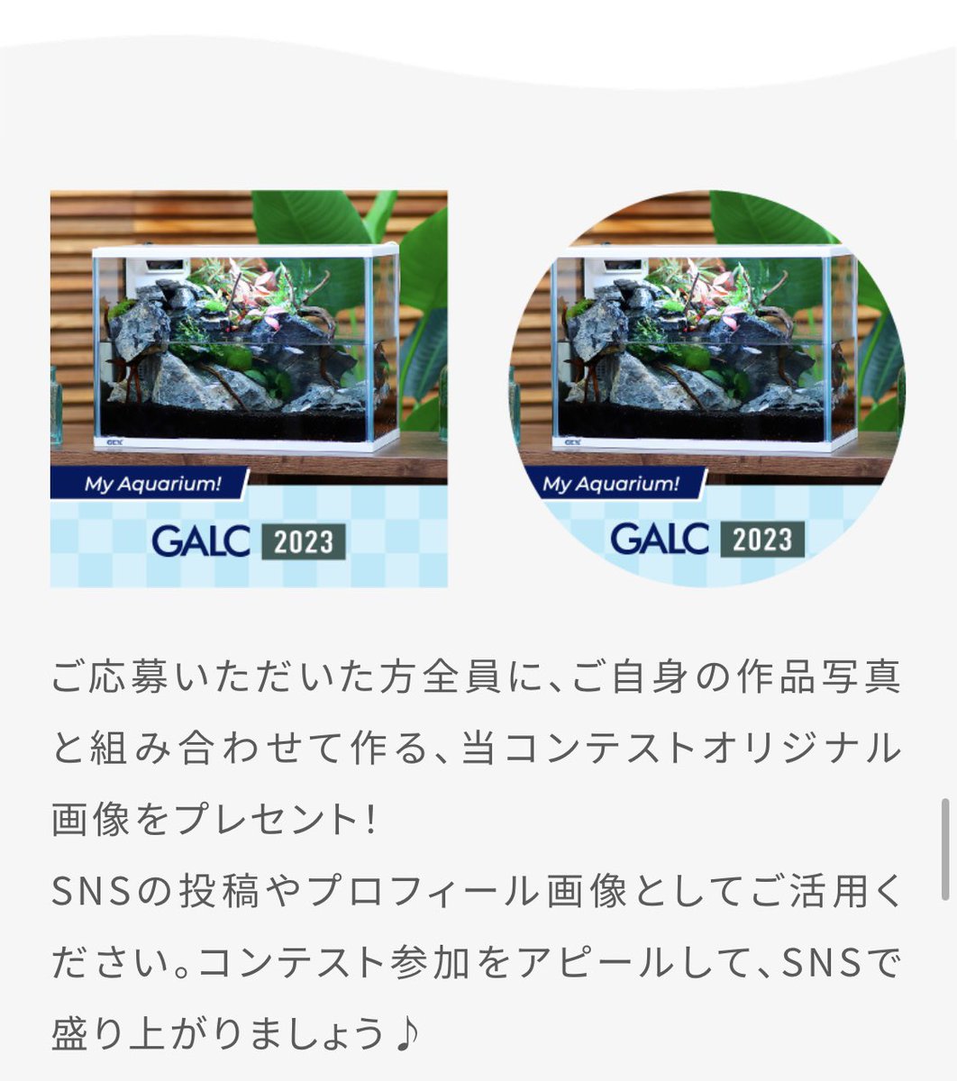 SONOアクアプランツファーム on Twitter: "GALC 2023 @gex_aquaLC 応募プレゼントのオリジナル画像をアップして、皆で盛り上がりましょう https ...