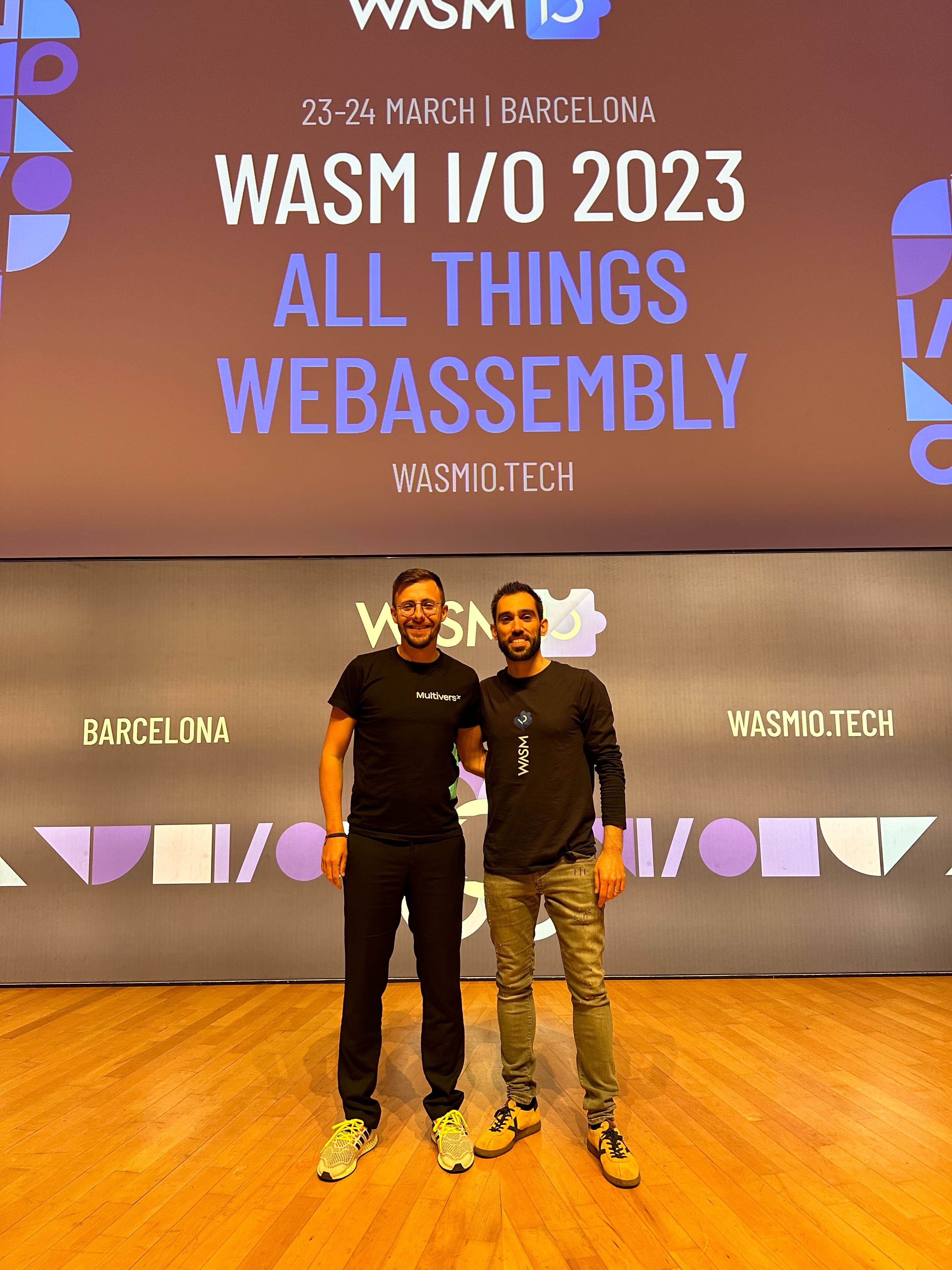 Lucian Mincu | MultiversX.com (@lucianmincu) / Twitter