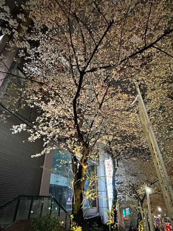 ヤマダデンキ LABI渋谷(@labi_shibuya) - Twilog