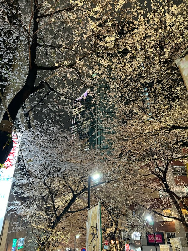 ヤマダデンキ LABI渋谷(@labi_shibuya) - Twilog