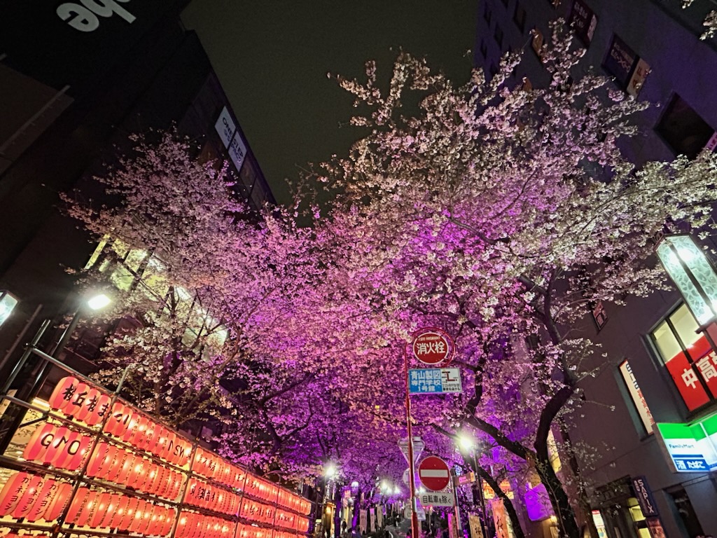 ヤマダデンキ LABI渋谷(@labi_shibuya) - Twilog