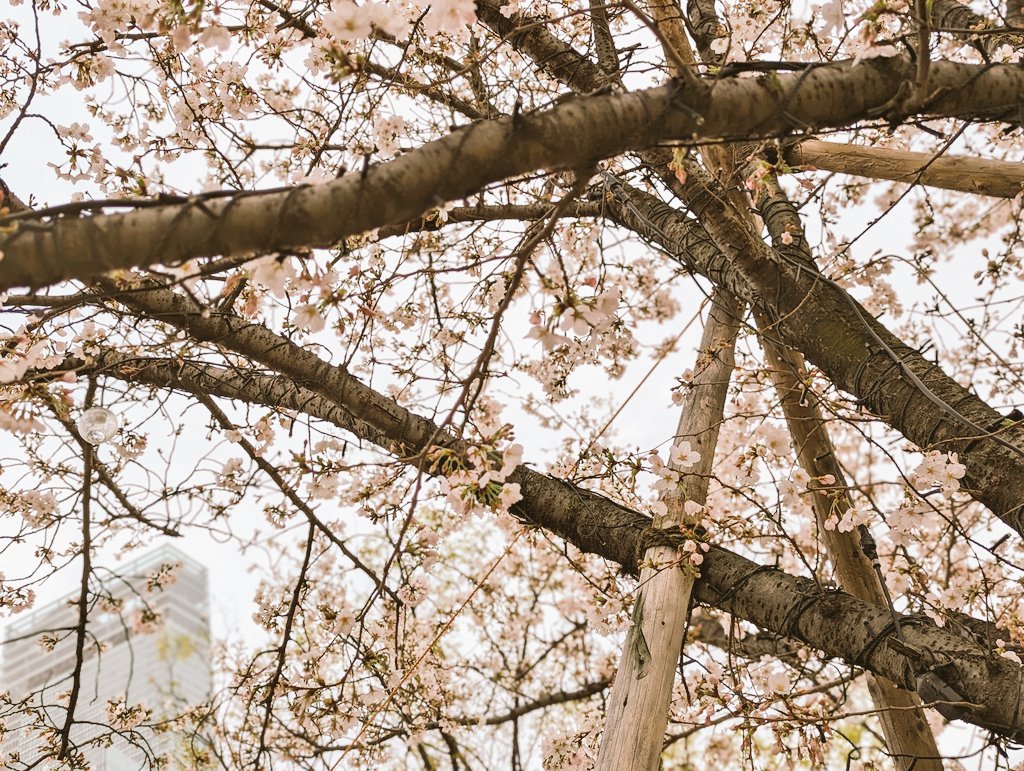 しず(@Ro_man_2) - Twilog